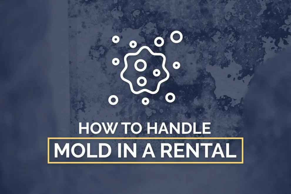 How To Handle Mold In A Rental Property: Landlord Guide