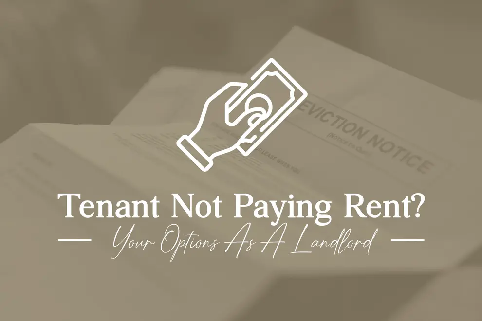 Tenant Not Paying Rent In Florida: Options As A Landlord